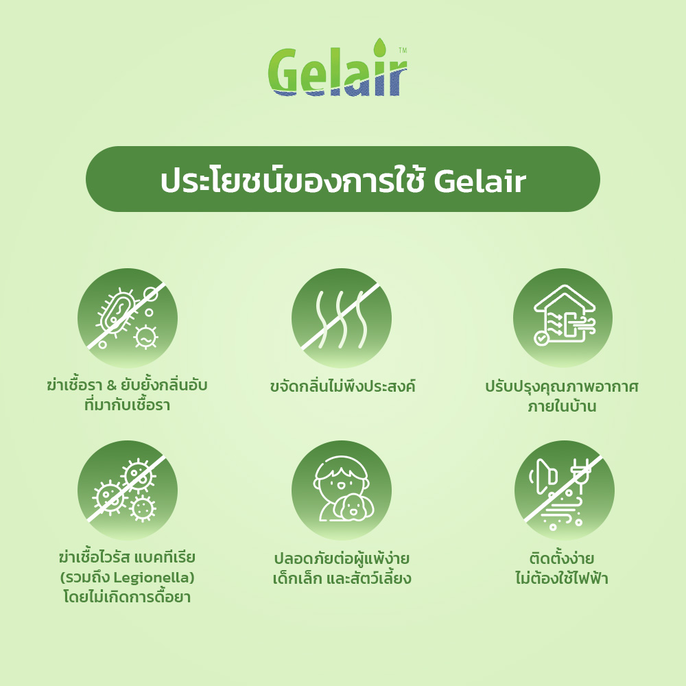 Benefits of Gelair – Gelair™ Tea Tree Oil – Thailand
