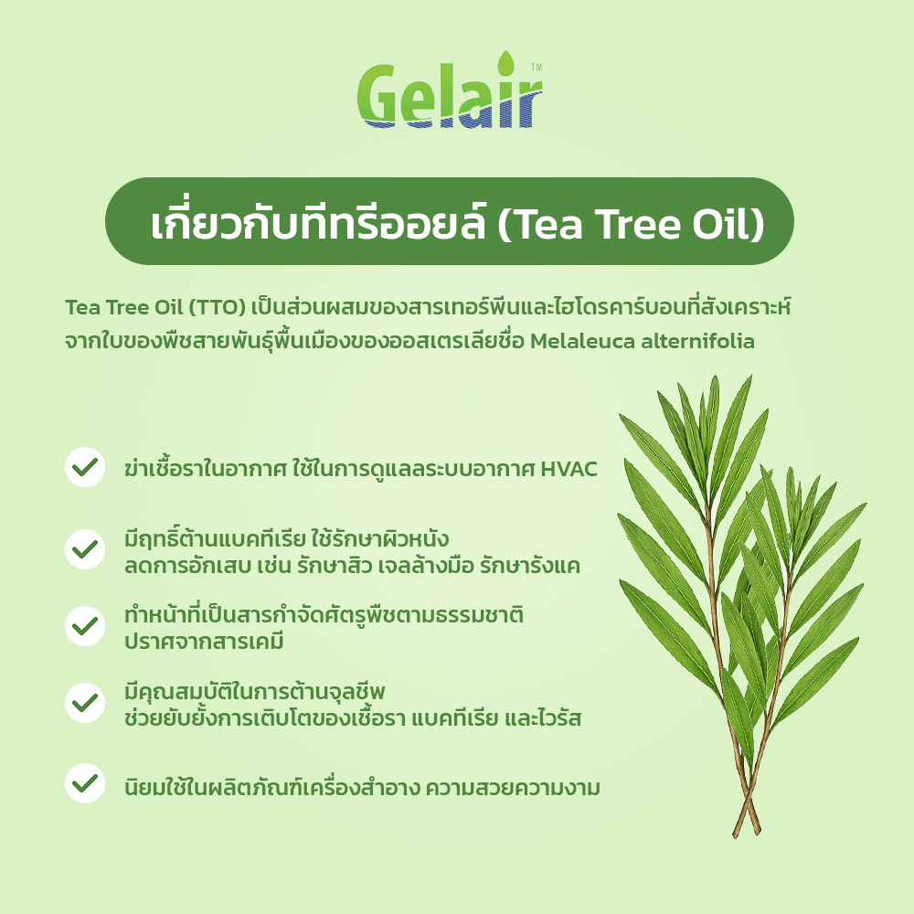 Benefits of Gelair – Gelair™ Tea Tree Oil – Thailand